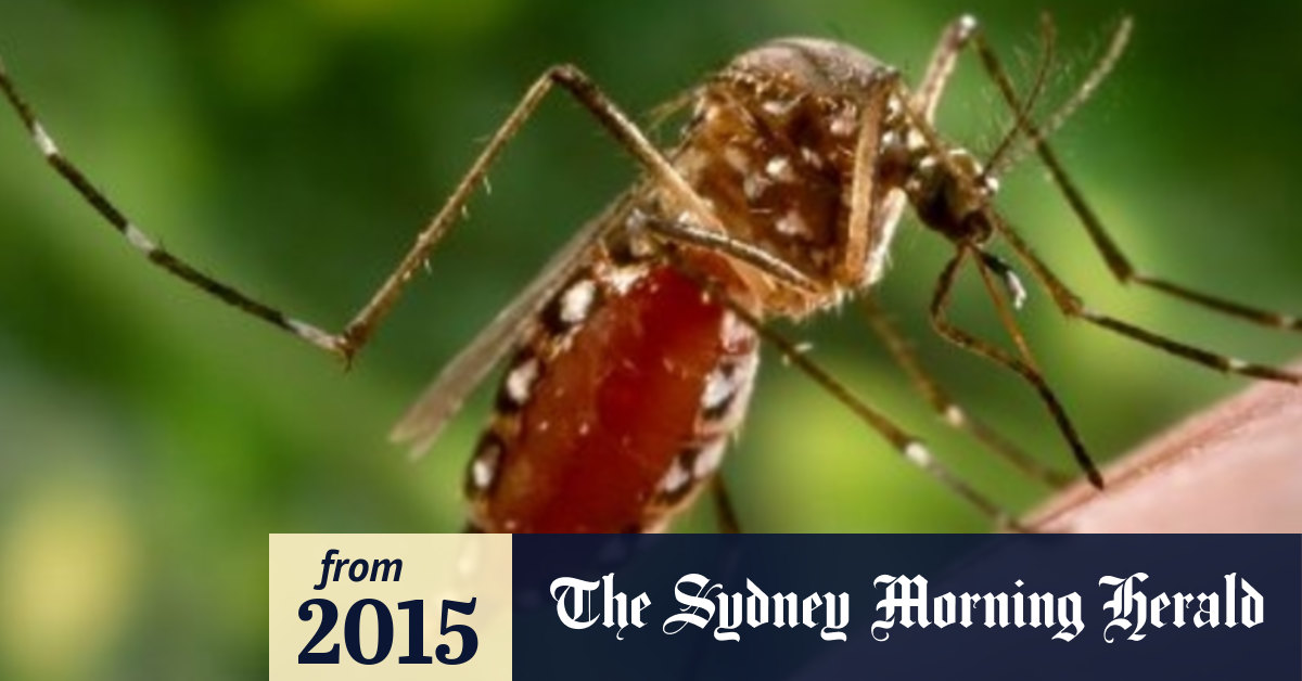 Existing drugs may help treat dengue fever Existing drugs may help treat dengue fever